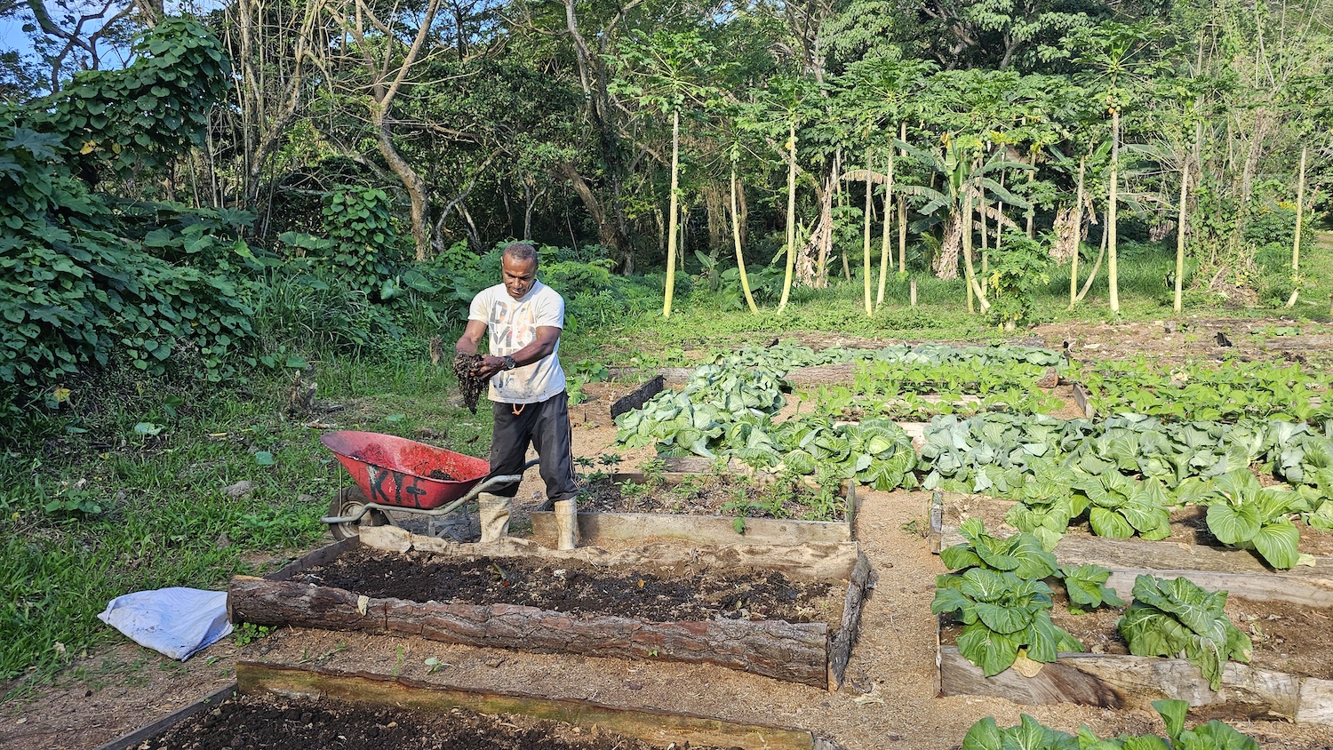 Projects – TUTU Rural Training Center