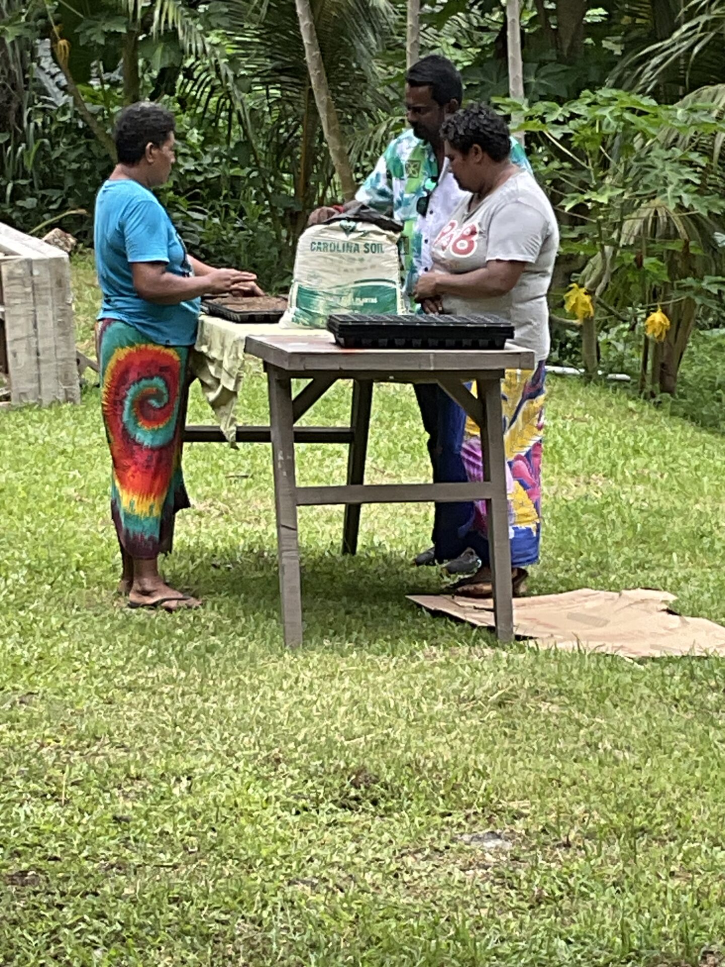 Food and Nutrition Security: A Way Forward for Healthy Communities ...