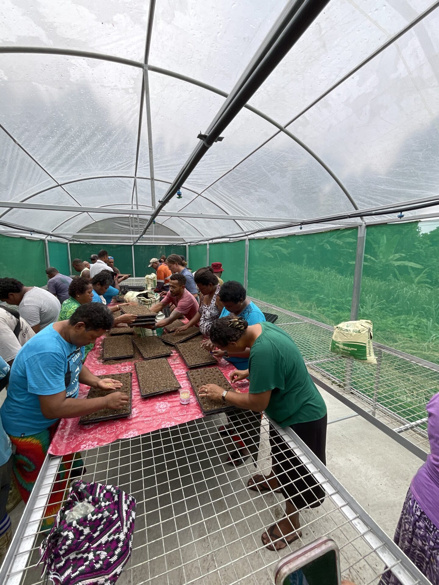 Food and Nutrition Security: A Way Forward for Healthy Communities ...